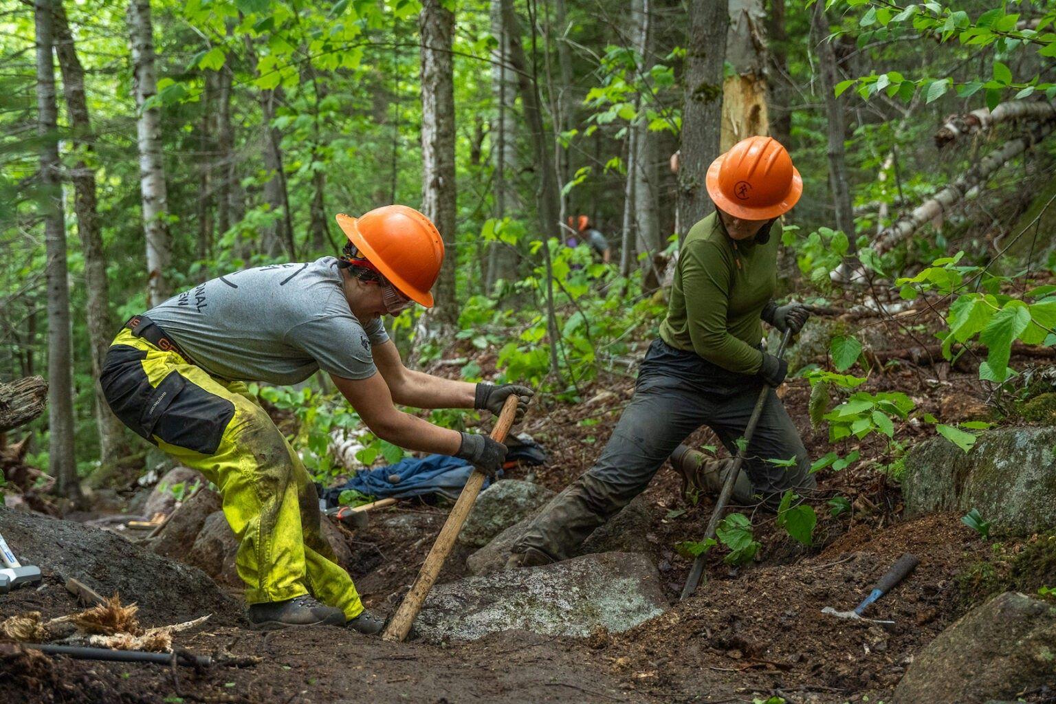 Franconia Ridge Restoration Project - Cannon Mountain